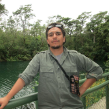 How to add JavaScript & jQuery code to Divi Theme ~ Divi Lover