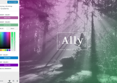 Ally - Multipurpose Divi Child Theme ~ Divi Lover