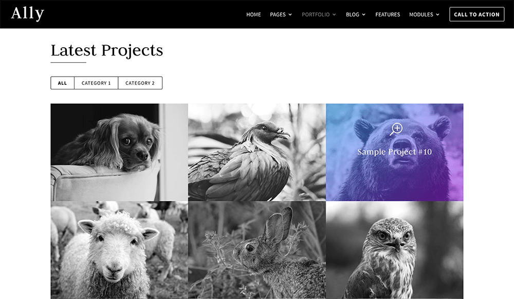 Ally - Multipurpose Divi Child Theme ~ Divi Lover