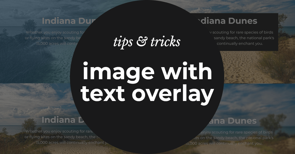 Simple Guide on How to Match Text Against a Background ~ Divi Lover